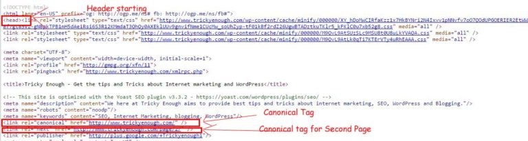 Canonicalization: solving the canonical issue to avoid Duplicate content
