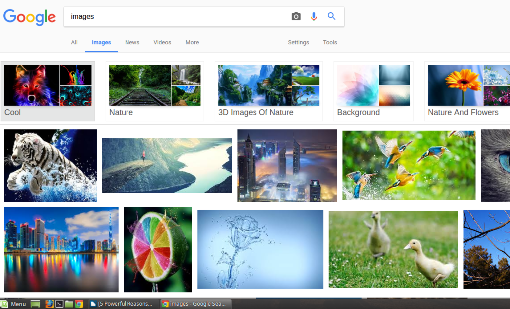 5 Best Reasons for why you should be adding images to your Blog post