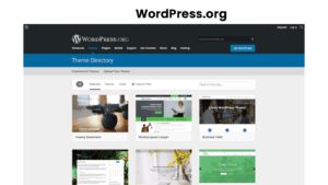 Platforms for Selling WordPress Themes & Plugins - Tricky Enough