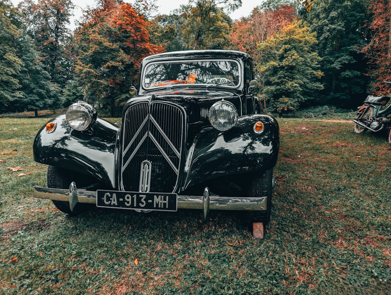 Generative Shape Fill has been Released by Adobe